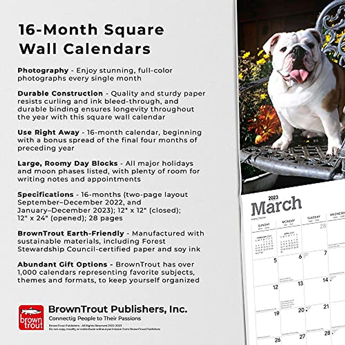 Bulldogs | 2023 12 x 24 Inch Monthly Square Wall Calendar | Foil Stamped Cover | BrownTrout | Animals Dog Breeds DogDays