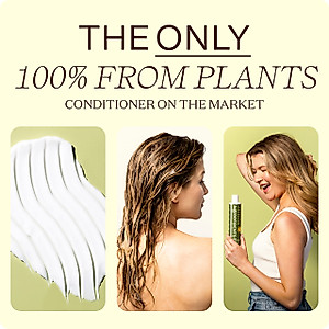 Ingreendients Tea Tree Hair Conditioner - Organic, Sulfate-Free, Color-Safe, Silicone-Free, Cruelty-Free, with Shea Butter and Jojoba Oil