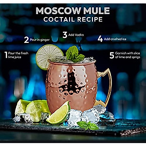 ARTISANS VILLAGE Moscow Mule Mugs | Set of 4 | Stainless Steel Lining | Pure Copper Plating | 100% Handcrafted Hammered Cups | Size 16 oz | With Premium Straws and Shot Glass