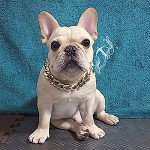 Dog Collar Chain Wide Gold Collares De Perros Pet Hip Hop Leads Chains Kit Dog Collars Necklace Collar Leash Dog Chain Necklace Luminous