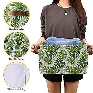 senya Large Foldable Storage Basket, Tropical Pattern Green Leaves Fabric Storage Bin Organizer Bag with Handles 15 x 11 x 9.5 inch