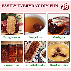 Red Dates No Pit Chinese Jujube Dates Seedless Dried Jujubees Pitted Fruit Tea Nature Sweet Magic 红枣 Healthy Snack - No sugar added & Juicy & Plump 400g