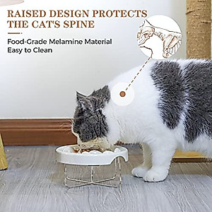 MSBC Raised Cat Slow Feeder Bowl with Acrylic Stand, Elevated Melamine Slow Feed Cat Dish, Non-Slip Pet Puzzle Feeder for Slow Healthy Eating, Anti-Choking Prevents Obesity Pet Bowl for Kitty, Kitten