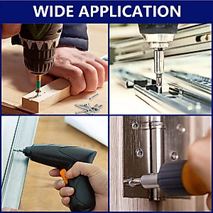 RUIQING 460Pcs 304 Stainless Steel Flat Head Phillips Wood Screws Set, Self-Tapping Sheet Metal Screws Assortment Set Contains #4#6#8#10#12