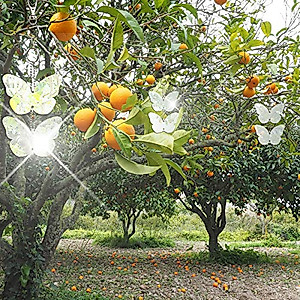 EACILLES Keep Birds Away Mirror Disc, Hanging Reflectors to Scare Birds Away from Your House and Garden, 16 Butterfly Discs