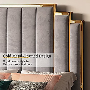 Albott King Size Platform Bed Frame, 65" Velvet Upholstered Bed with Gold Trim Headboard/Wooden Slats/No Box Spring Needed/Grey