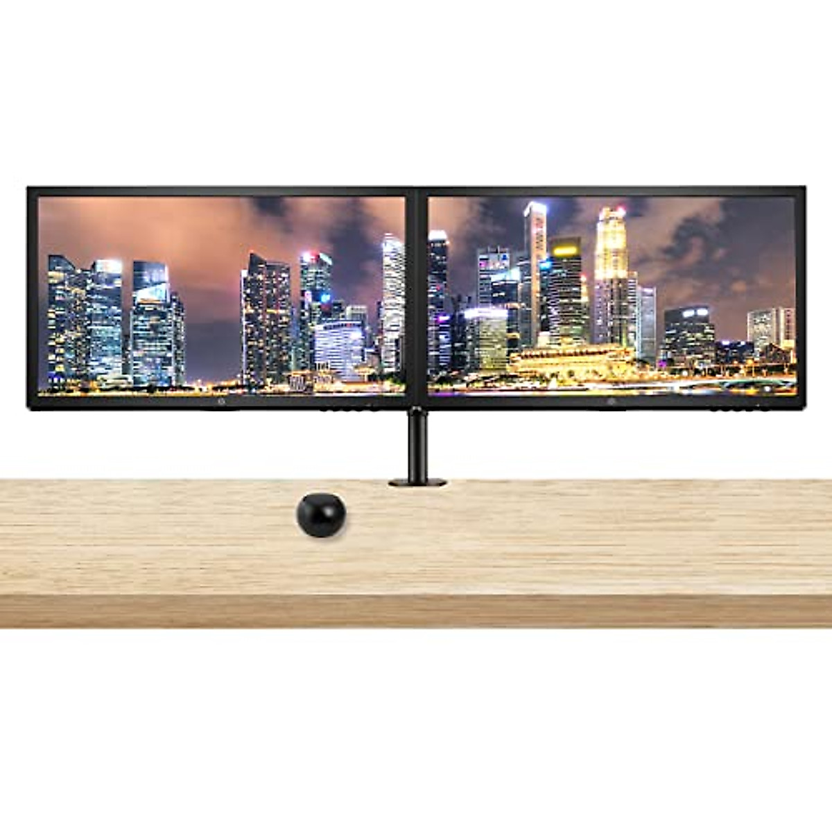 HP V24 24 inch TN Full HD 1920 x 1080 LED Backlit LCD Monitor 2-Pack Bundle with HDMI & VGA Ports, FreeSync, 75Hz Refresh Rate, Low Blue Light, Desk Mount Clamp Dual Monitor Stand, & Mini Speaker