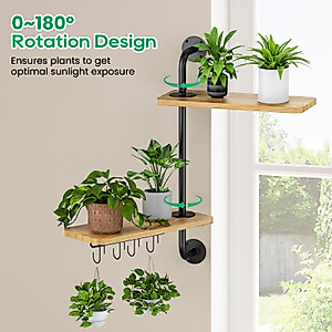 THYGIFTREE Window Plant Shelves 2-Tier Rotating Plant Display Holder Wall Mounted Pipe Swivel Plant Stand Rustic Floating Shelves for Houseplants Herbs, Wood