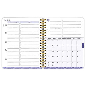 Busy Bees | 2024 6 x 7.75 Inch 18 Months Weekly Desk Planner | Foil Stamped Cover | July 2023 - December 2024 | Plato | Planning Stationery