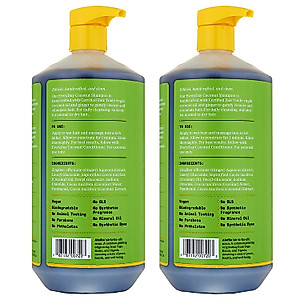 Alaffia EveryDay Coconut Shampoo, Gentle Cleansing Shampoo for Normal to Dry Hair, Made with Coconut Oil Rich in Vitamin E, No Parabens or Phthalates, Coconut, 2 pack - 32 Fl Oz Ea