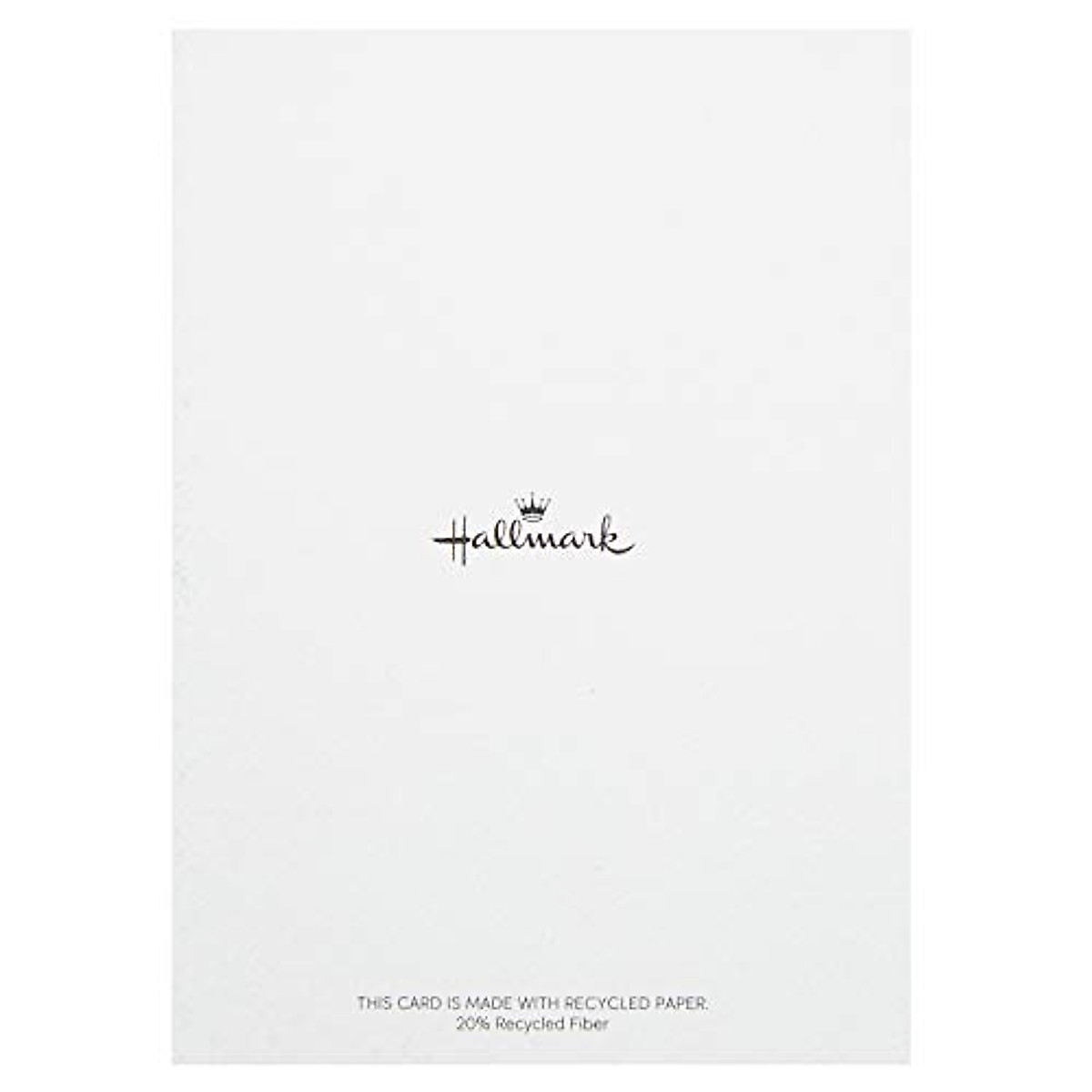 Hallmark Boxed Christmas Cards Assortment, Peace Hope Joy (48 Cards with Envelopes) (1XPX5176)