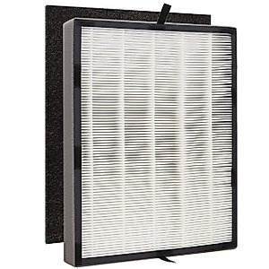 Rioche Premium H13 HEPA-Odor Replacement Air Filters, Compatible with Alen BreatheSmart 45i or Flex Air Purifier, Compare to Part NO. B4-Fresh (Old Part Number FL40), 1 HEPA&1 Carbon Pre-filter