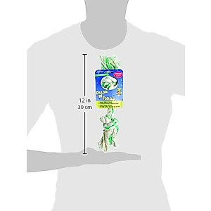 Petmate Aspen/Booda Corporation DBX52302 Fresh and Floss 2-Knot Spearmint Toy for Pets, Medium