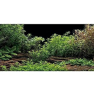 AWERT Aquarium Background River Bed & Lake Aquatic Plant Fish Tank Background Vinyl 30x18 inches