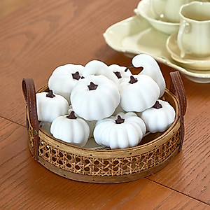 Lamris Pumpkin Decor Set of 12 White Mantel Table Centerpiece Farmhouse Thanksgiving Fall Decorations for Home