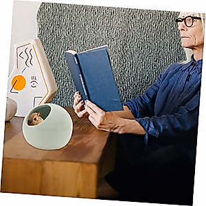 OATIPHO 1pc Hamster Igloo Outdoor Enclosure Outdoor Fencing Rat Cage Accessories Small Hamster Hideout Chinchilla Cave Small Animal Ceramic Critter Pet Habitat Durable Pet Bed Pet Supply