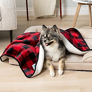 PetAmi Waterproof Dog Blanket Sherpa Fleece, Pet for Small Medium Dogs, Reversible Large Cat Throw Bed Couch Sofa Furniture Protector, Soft Plush Microfiber (Small 24x32, Check Red) Checkered Red