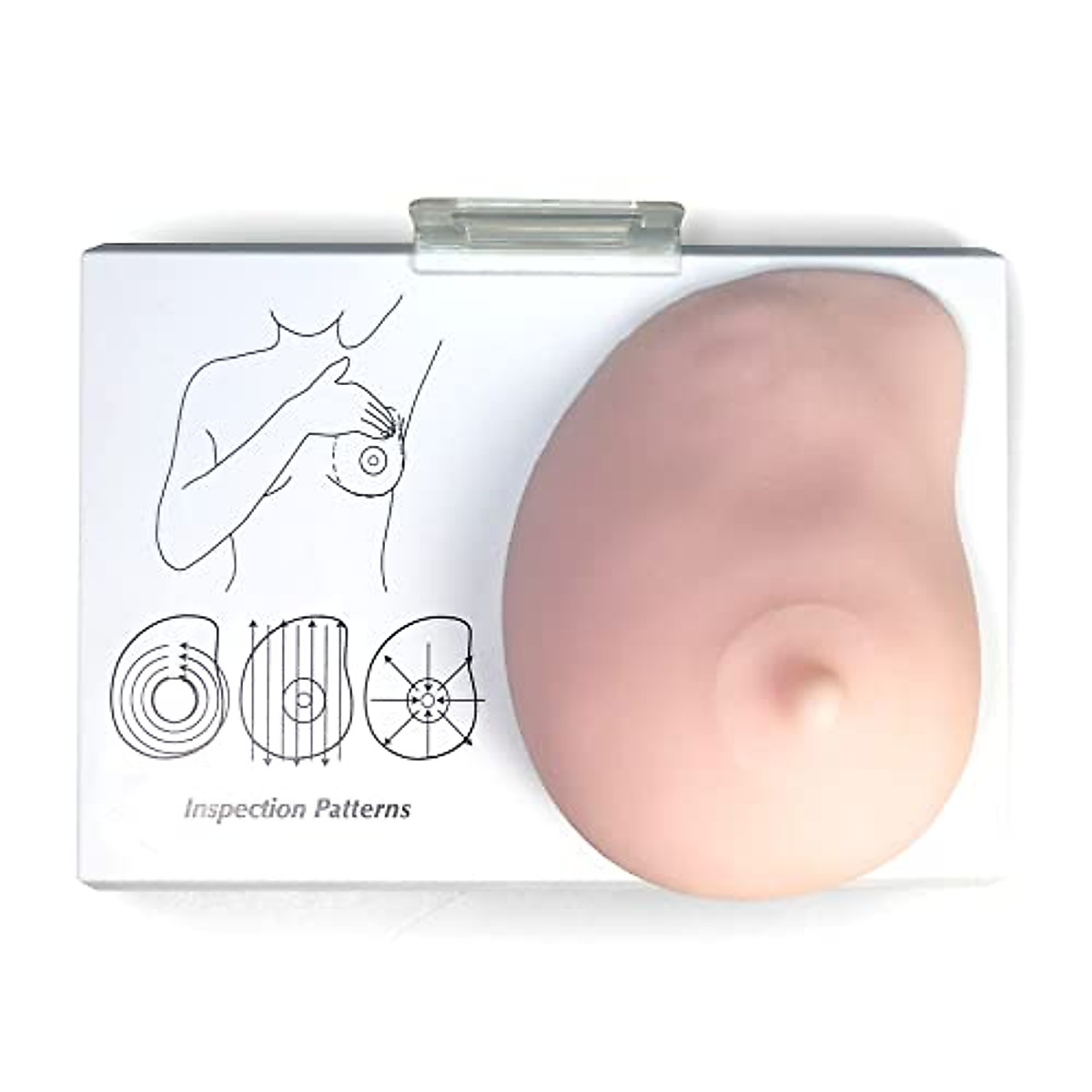 GPI Anatomicals - Human Anatomy Model of Left Breast with Irregular Masses, Replica for Anatomy and Physiology Education, Anatomy Model for Doctor's Office and Classrooms, Medical Study Supplies