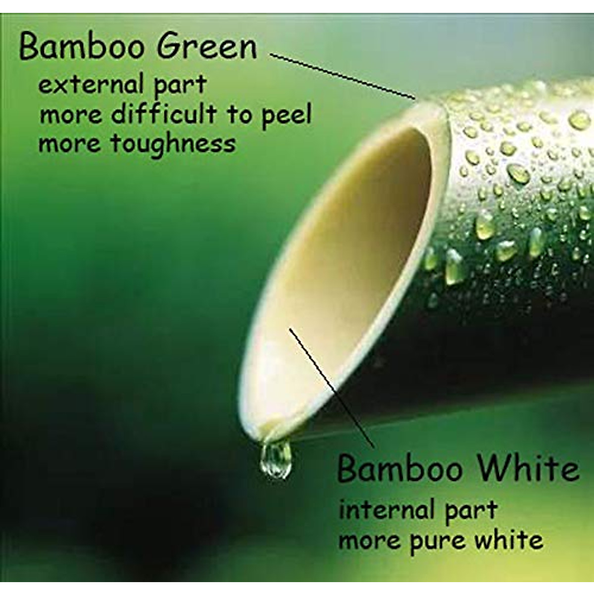 100% Handwoven Flat Wicker Round Fruit Basket Woven Food Storage Weaved Shallow Tray Organizer Holder Bowl Decorative Rack Display Kids DIY Drawing Board (No Hollow-Bamboo Green, 42cm/16.5")