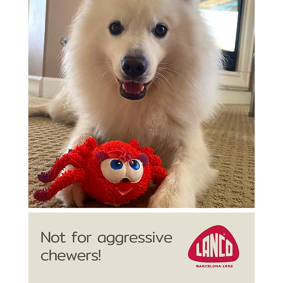 Sensory Spider - Squeaky Dog Toys - Medium Breeds - Natural Rubber/Latex - Comply with Same Safety Standards as Baby Toys