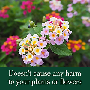 DALEN Gardeneer Plastic Fence for Garden Edging, Lightweight Fencing Role for Yards and Gardens, Protective Barrier for Plants, Flowers, Lawn, Rabbits, Chicken, Poultry, Dogs, and Other Pests