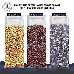 Birthday Gift Basket Movie Night Popcorn Birthday Box Food Gifts Birthday Care Package, 10 Piece Set, 5 Gourmet Popcorn Kernels and 5 Popcorn Seasoning Flavoring, Non-GMO Popcorn Gifts