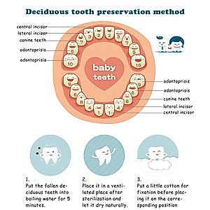 Baby Tooth Box,Solid Wood Teeth Boxes,Teeth Storage Box,Baby Save Boxes,Kids Keepsake Organizer for Baby Teeth and Hair,Baby Shower& Birthday Gift