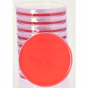 Blood Agar Plate, 5% Sheep Blood in Tryptic Soy Agar (TSA) Base, 15x100mm Plate, Order by The Package of 100, by Hardy Diagnostics