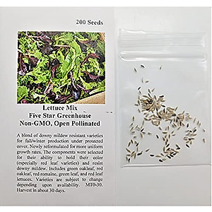 David's Garden Seeds Lettuce Mix Five Star Greenhouse 1934 (Multi) 200 Non-GMO, Open Pollinated Seeds