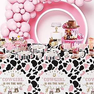 Xigejob Western Cowgirl Baby Shower Decorations Party Tableware - Little Cowgirl Baby Girl Table Decorations, Plate, Cup, Napkin, Cutlery, Tablecloth, Wild West Rodeo Baby Shower Supplies | Serve 24