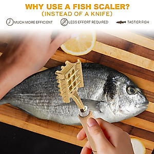 Fish Scaler Brass Blade Winged Design Mess-Reducing Descaler Made in Japan