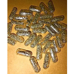 ONE Capsule Daphnia Magna Water FLEA Eggs Alive Free Chlorella Powder for Feeding Crustaceans - Daphnia, Moina, Rotifer, Fairy Shrimp, and Other Live Fish Food