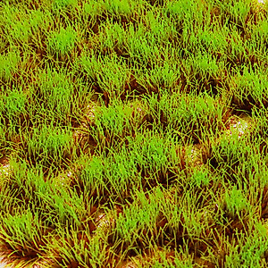 190 Pcs Static Grass Model Grass Tufts Railway Artificial Grass Miniature Grass Tuft Terrain Kit for DIY Model Railway Fairy Garden Diorama Scenery (Set B)