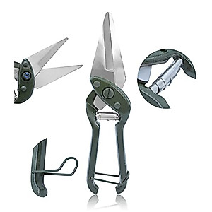 OdontoMed2011 Veterinary Hoof Foot Rot Shears Goat/Sheep, Green Color, Heavy Duty Model Instrument ODM