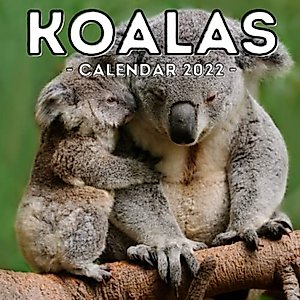 Koalas Calendar 2022: 16-Month Calendar, Cute Gift Idea For Koala Lovers Girls & Men