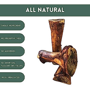 K9 Connoisseur Single Ingredient Dog Bones Made in USA for Large Breed Aggressive Chewers Natural Long Lasting Meaty Mammoth Marrow Filled Champ Bone Chew Treats Best for Dogs Over 50 Pounds 3 Pack