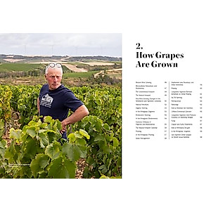 The World of Natural Wine: What It Is, Who Makes It, and Why It Matters