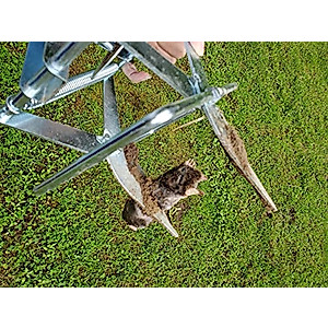 Garsum Mole Traps That Kill, EasySet Vole Gopher Trap for Lawns, Reusable Quick and Clean Kill,1 Eliminator Scissor Trap