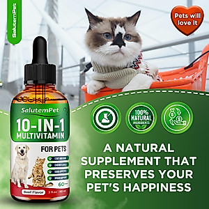 Liquid Multivitamin for Dogs | Dog Multivitamin Liquid | Multivitamin for Cats | Multivitamin for Dogs | Cat Multivitamin 10-in-1 | Cat Multivitamins for Indoor Cats | 2 Oz