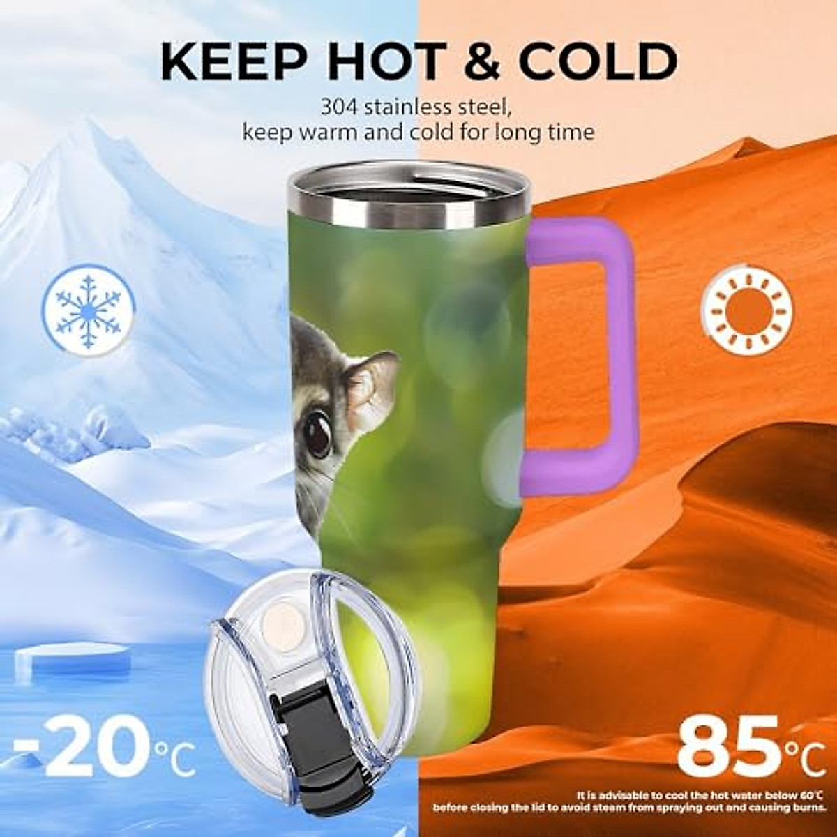 Australia Cute Sugar Glider Insulated Tumbler with Lid And Straw Stainless Steel Travel Coffee Mug 40oz Violet-style
