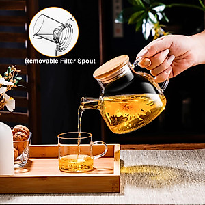 PARACITY Glass Teapot Stovetop 20 OZ/600ml, Borosilicate Clear Tea Kettle with Bamboo Lid, Glass Tea pot with Removable Filter Spout, Teapot Blooming and Loose Leaf Tea Maker Tea Brewer for Camping