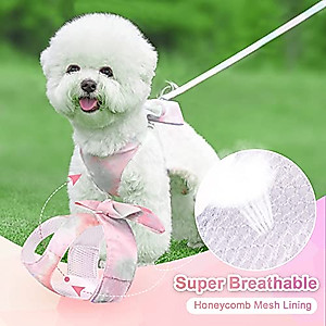 PETCARE Cute Bow Tie Dog Harness and Leash Set Elegant Rainbow Gradient Puppy Harness No Pull Soft Mesh Pet Cat Dog Vest Harnesses for Small Dogs Cats, Pink