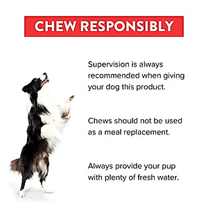 American Ostrich Farms | Ostrich Trachea Chews - All Natural Pet Treats - High in Protein and Essential Nutrients, Bag of 6-8