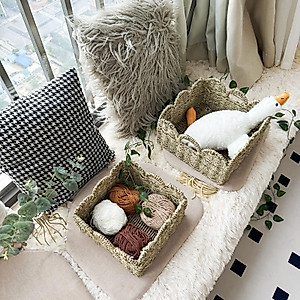 Scalloped Basket with Handles Wicker Storage Basket Nursery Seagrass Baskets for Shelf Decorative Organizing 2pc/set (Seagrass)