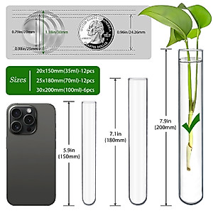 HUAOU 6pcs 100ml Large Glass Test Tube, 30x200mm Propagation Tube for Plant, 3.3 Borosilicate Clear Big Glass Test Tube Vase for Scientific Experiments Party Office Desktop Flower Decoration Wedding