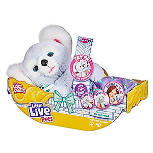 Little Live Pets Cozy Dozy Kip The Koala Bear - Over 25 Sounds and Reactions | Bedtime Buddies, Blanket and Pacifier Included | Stuffed Animal, Best Nap Time, Interactive Bear - Styles May Vary