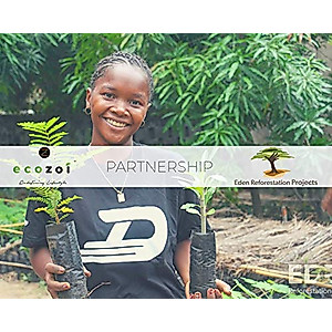 ecozoi Stainless Steel Lunch Box, Leak Proof 3 Compartment, Medium | Redesigned Silicone Seal | Sustainable Zero Waste Eco Friendly Bento Box Food Storage Container