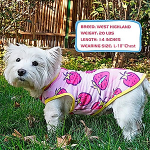 KYEESE 2 Pack Dogs Shirts Quick Dry Lightweight Dog T-Shirts with Reflective Label Tank Top Sleeveless Dog Vest for Small Dogs Puppy Clothes Strawberry Pattern Great for Summer, Large, Strawberry+Rose