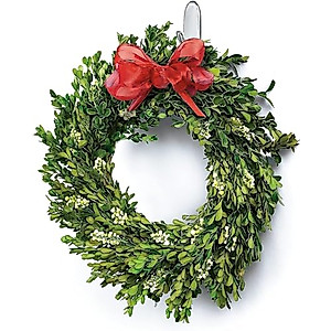 Command 17093CLRES Large Clear Strips Hook