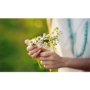 Kamill 3x100 ml Hand & Nail Cream CLASSIC with BIO Camomile and Bisabolol | Germany